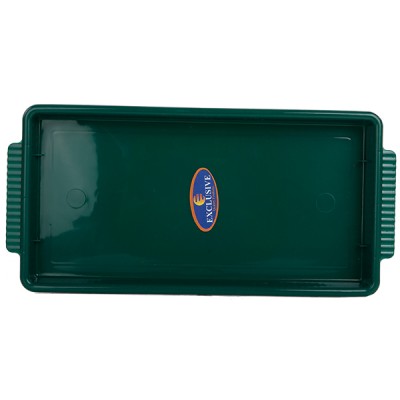 Oasis Tray Single Green | Black Tulip Group