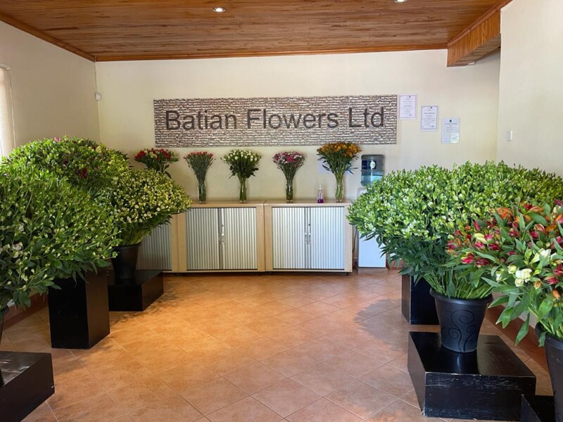 Batian Flowers Ltd | Black Tulip Group